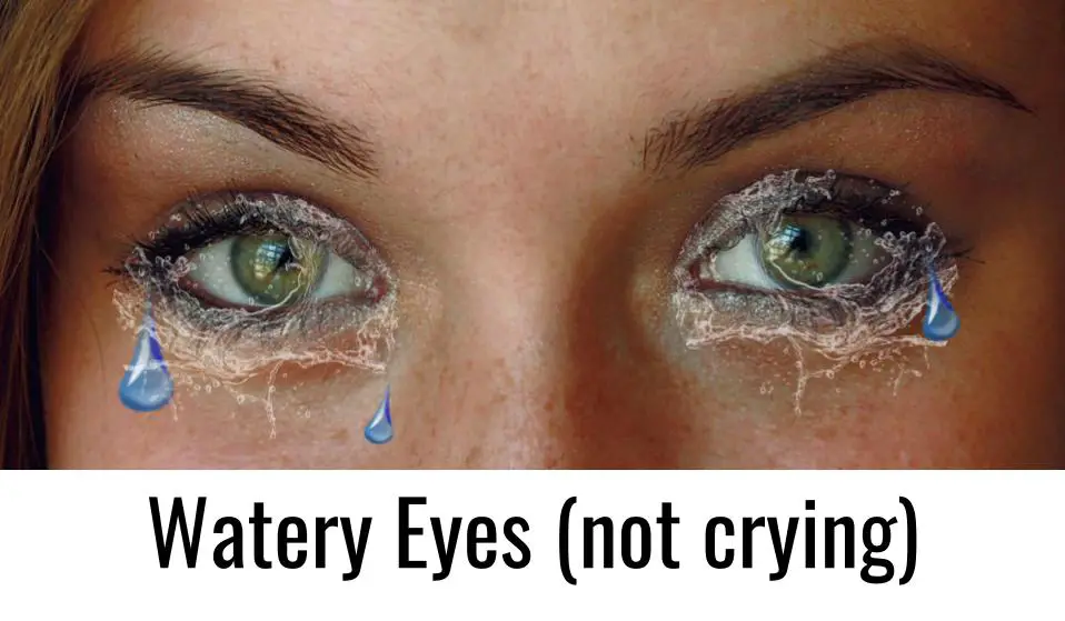 d0680-watery – World English Blog